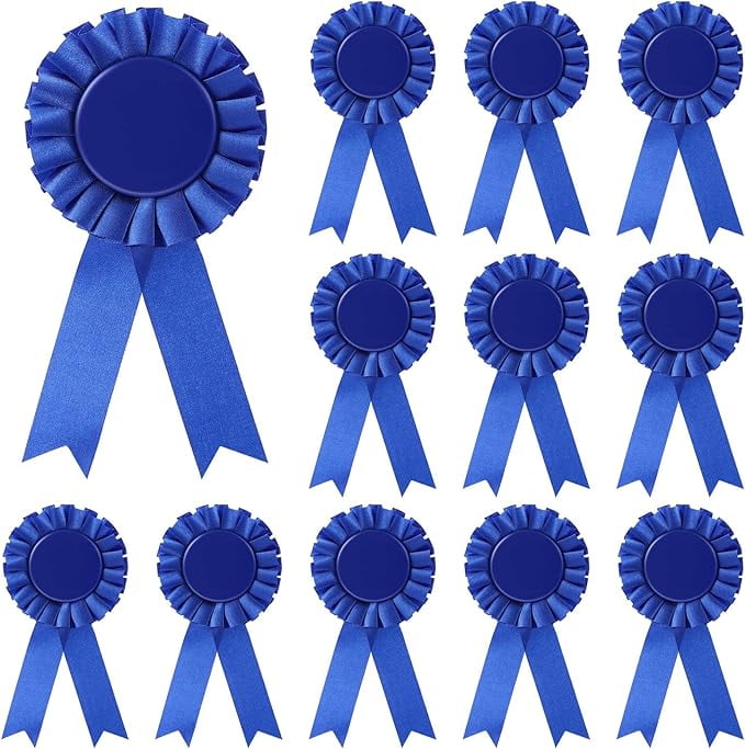 12 Pieces Blank Award Ribbon Prize Ribbon 1st Place Rosette Ribbon ...
