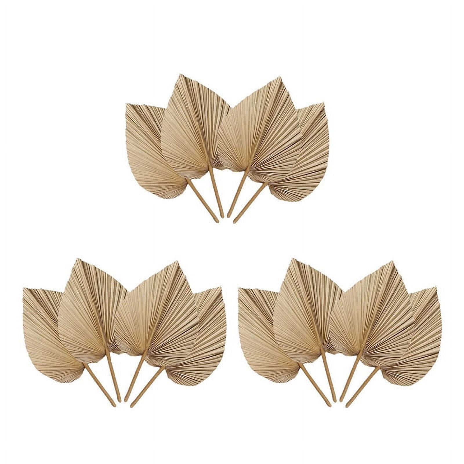 12 Pieces Natural Dried Palm Leaves are Perfect for Palm Leaf Decor ...