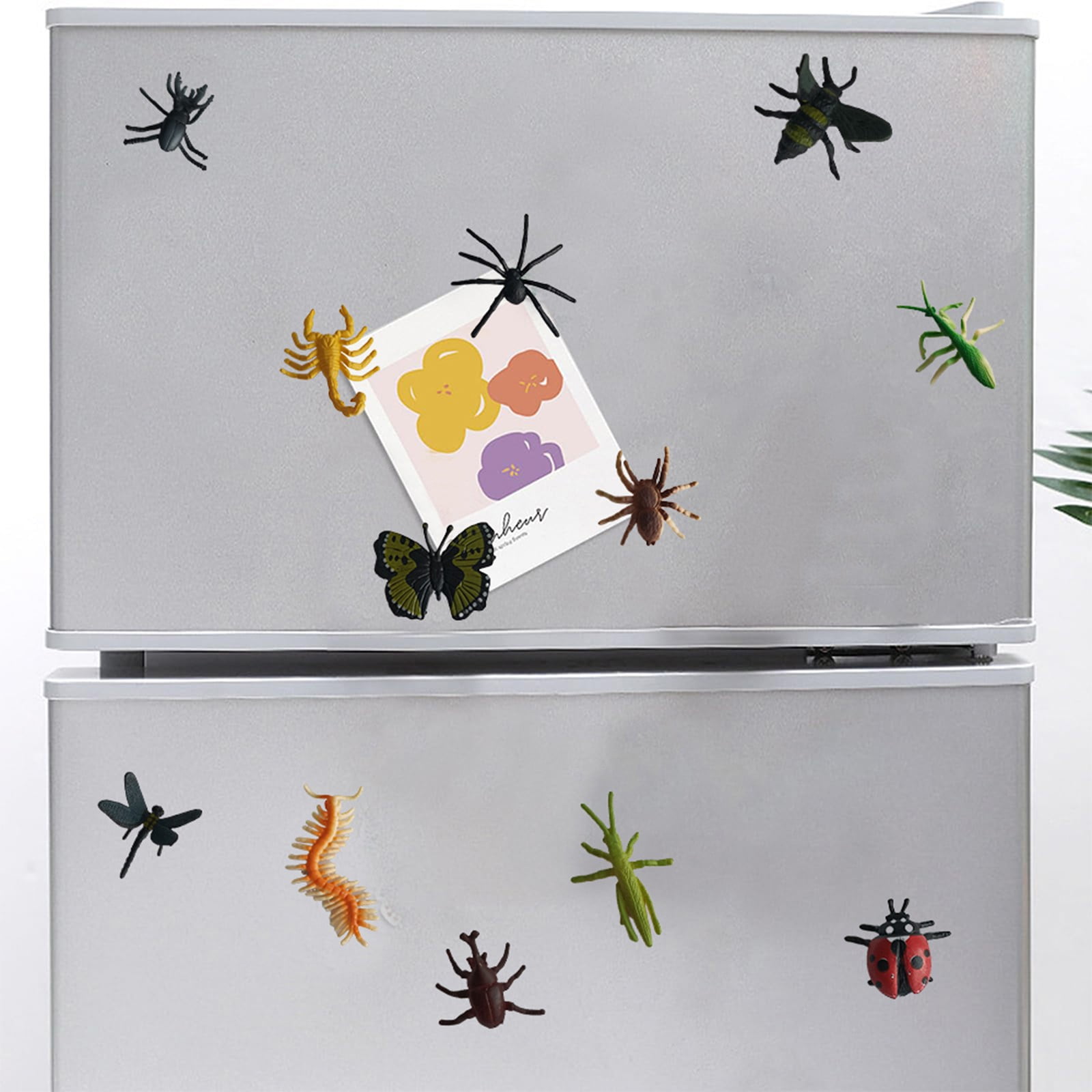 12 Pieces Realistic 3D Insect Refrigerator Magnets - Funny Fridge and ...