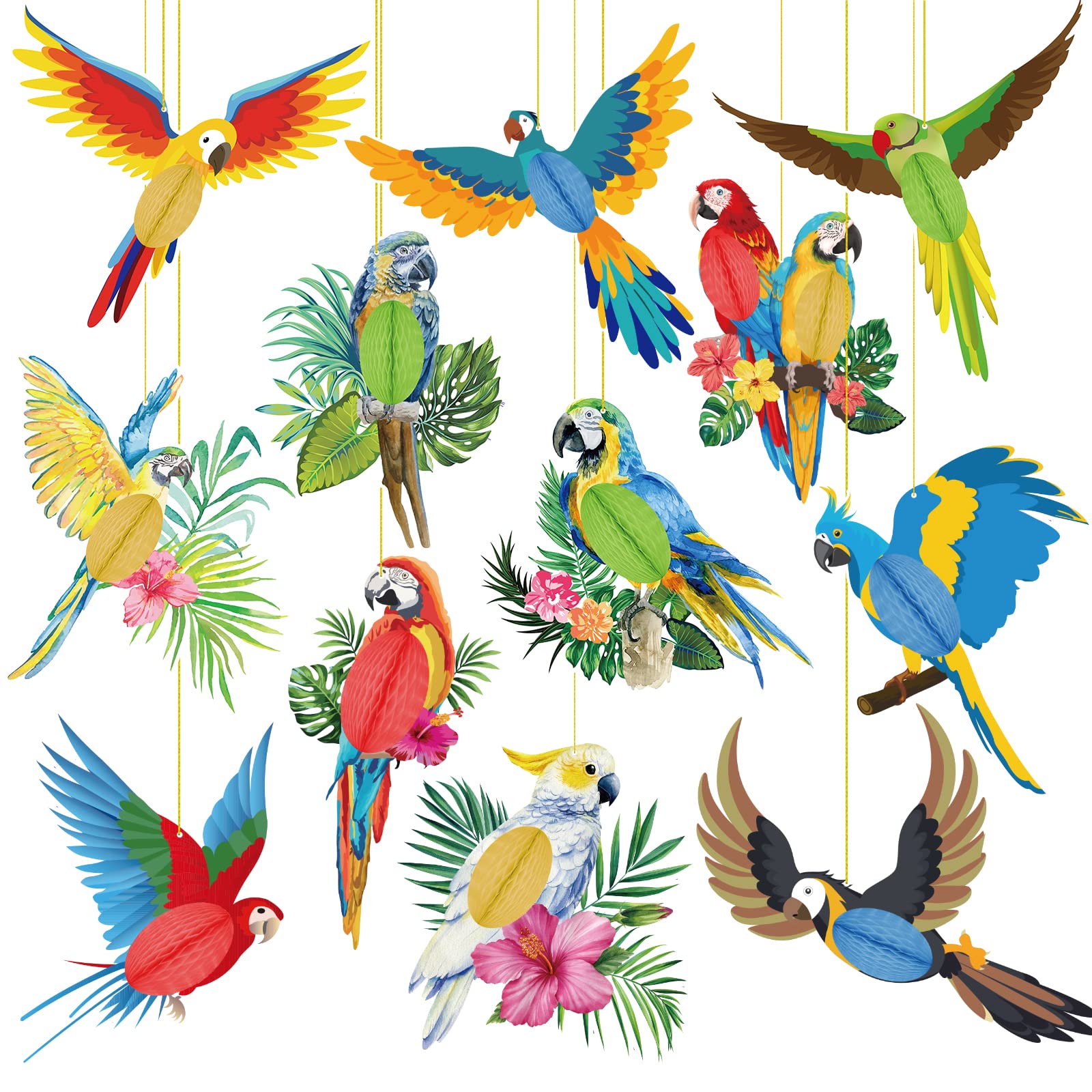 12 Pieces Tropical Birds Honeycomb Parrot Paper Cutouts Themed Luau ...