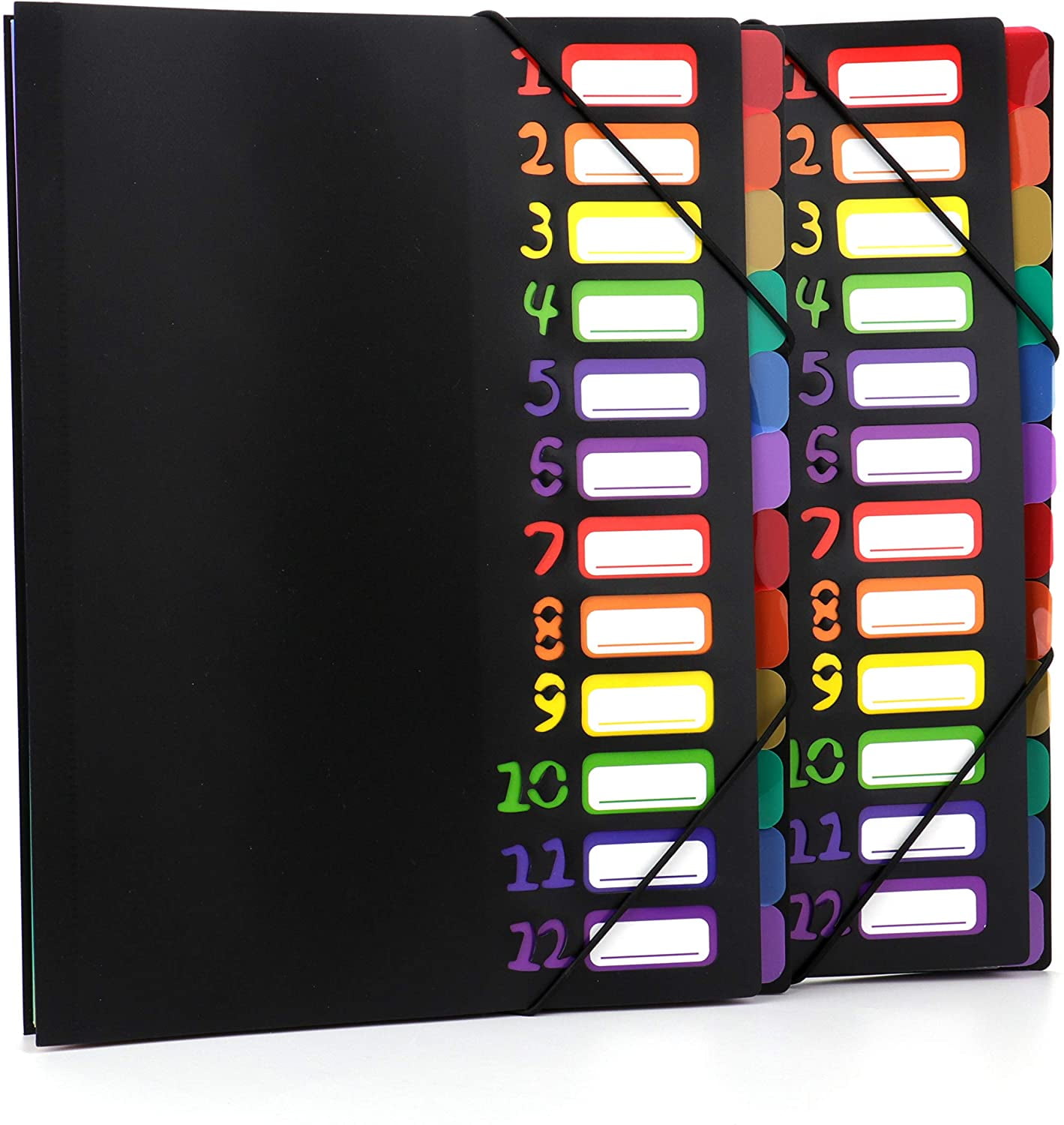 12-Pocket Expandable Project Sorter Rainbow File - Walmart.com