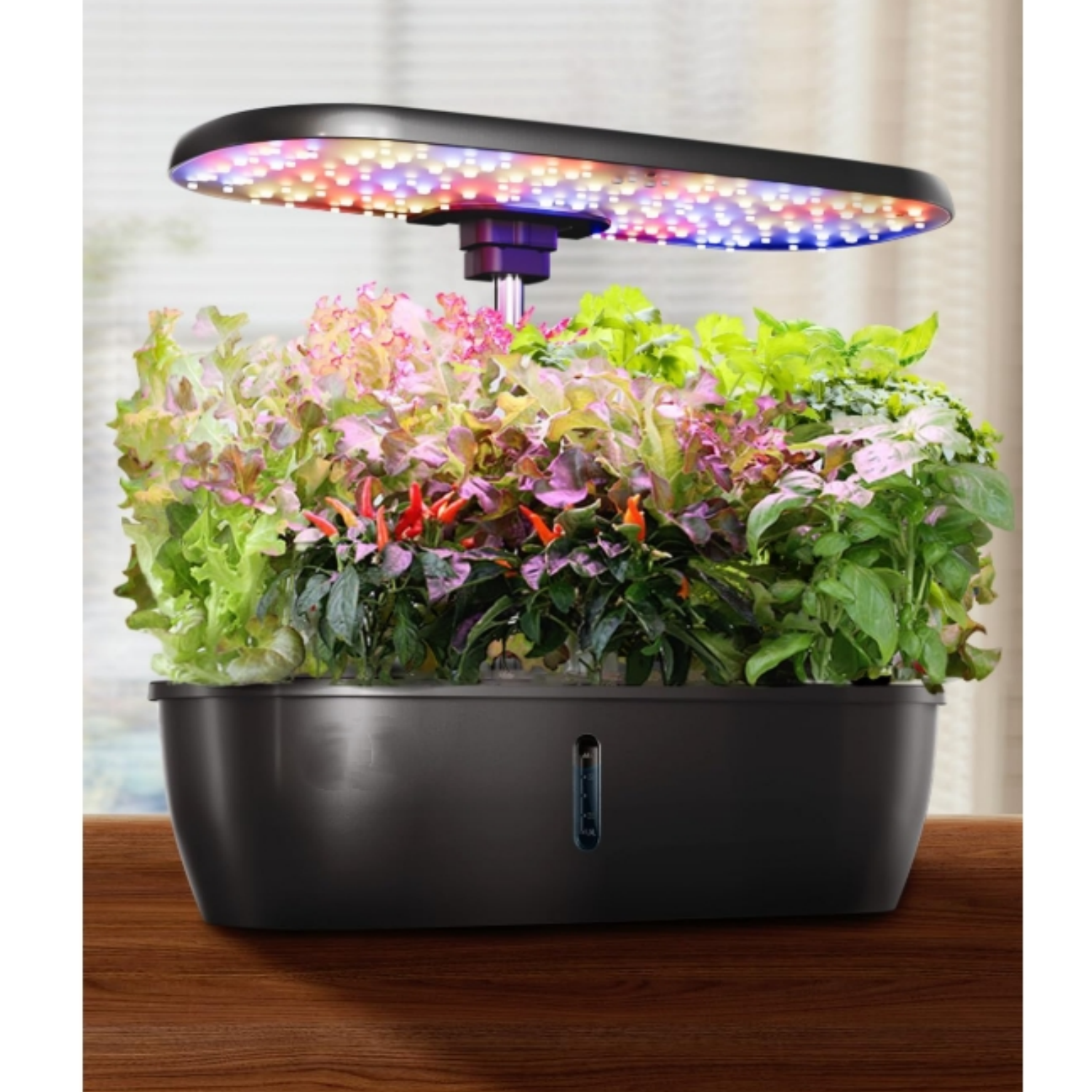 12 Pods Hydroponic Growing System Kit, 24W Full-Spectrum LED Indoor ...