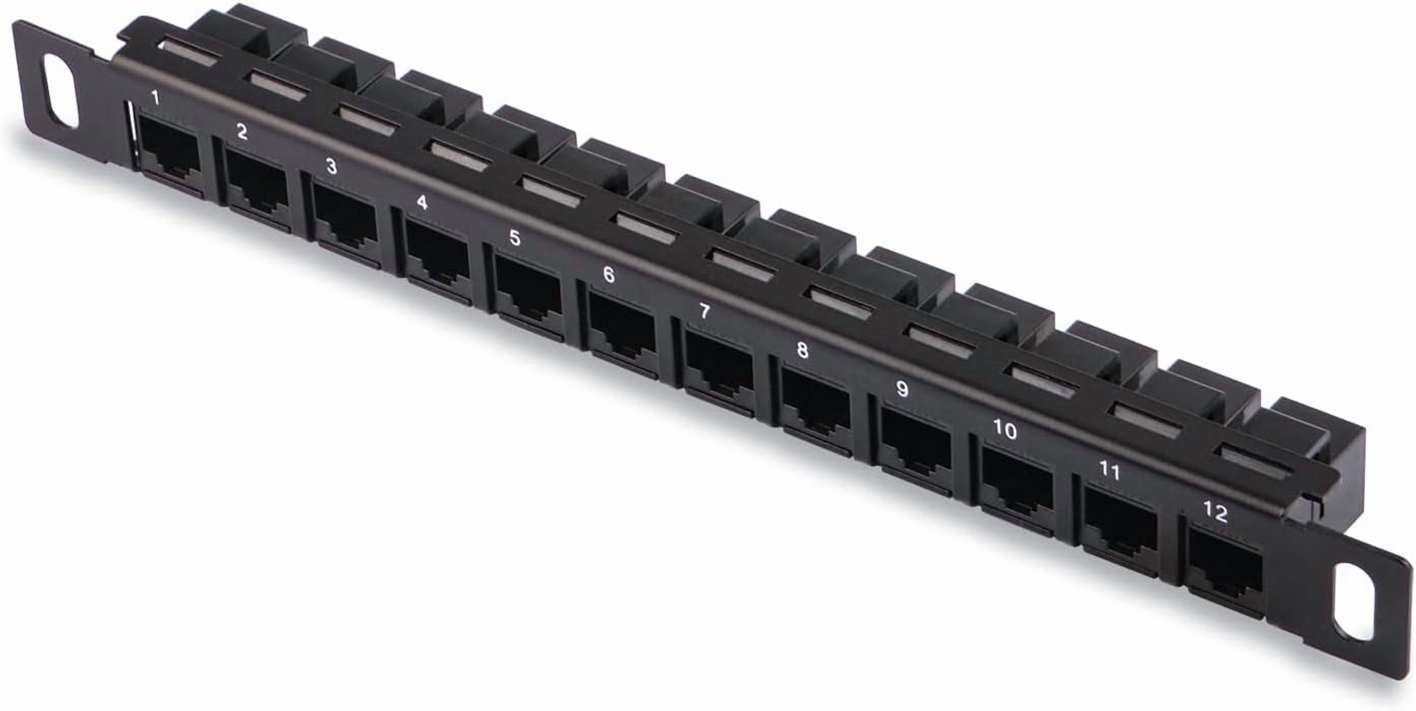 12 Port Patch Panel, 10inch 0.5U CAT6 Network Patch Panel for DeskPi ...