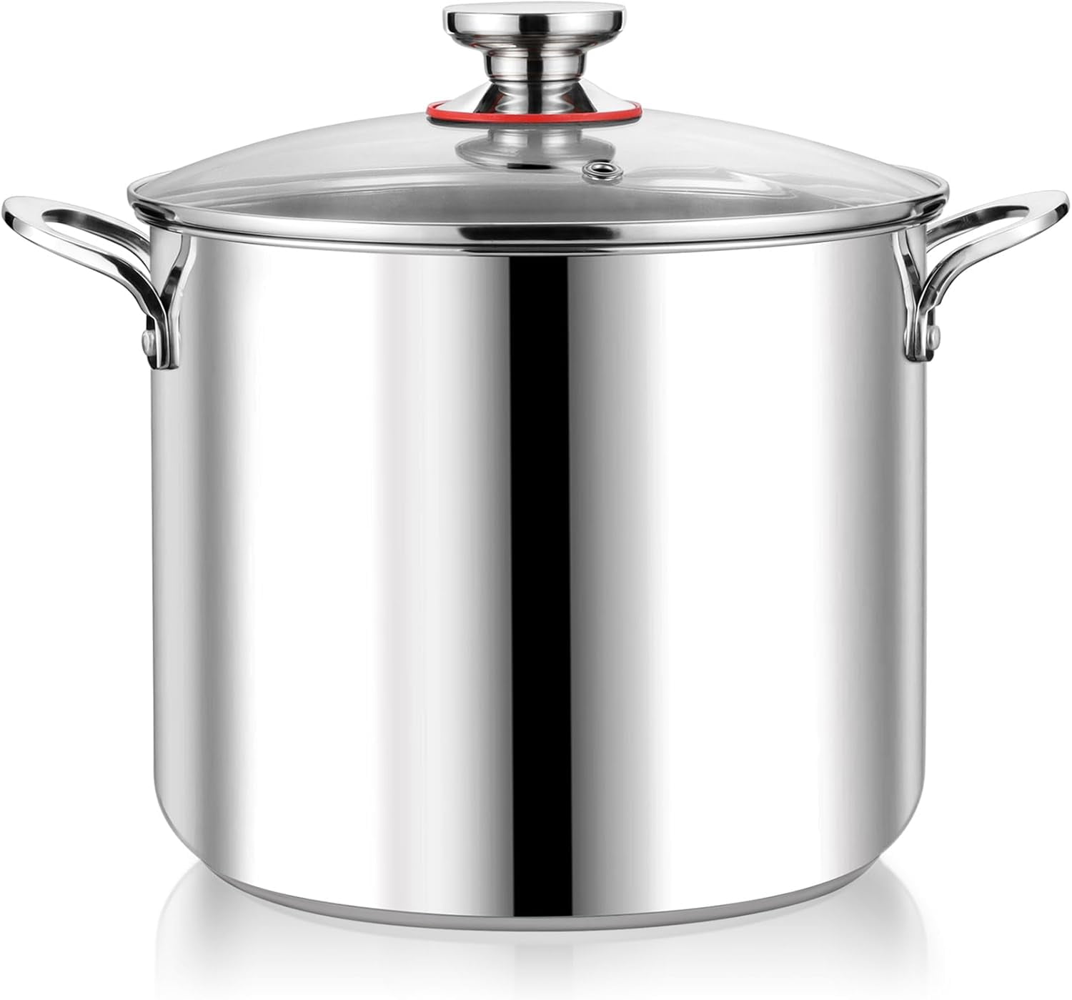 12 Quart Stainless Steel Stockpot with Glass Lid, Extra Large Cooking ...
