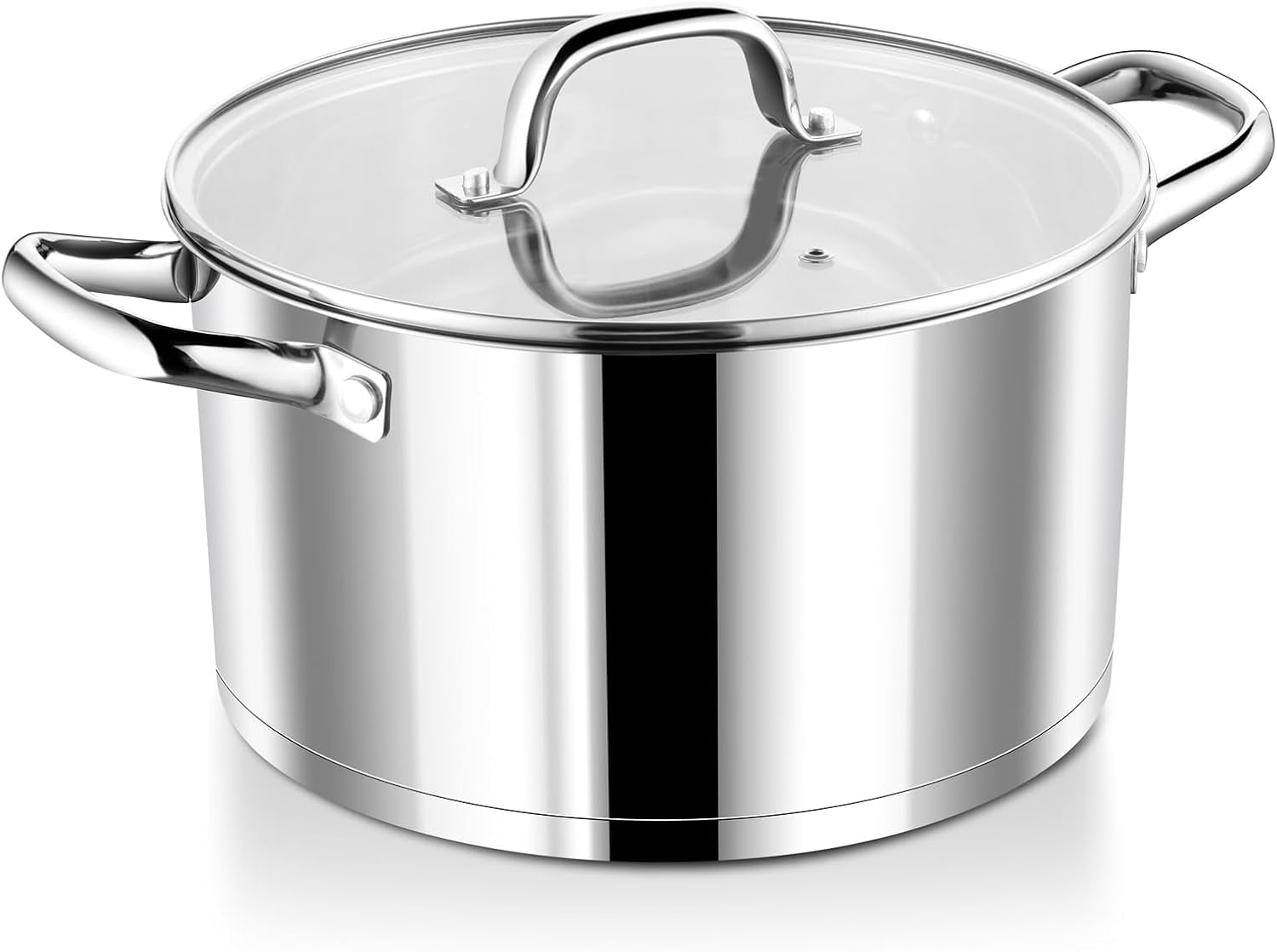 12 Quart Stainless Steel Stockpot with Glass Lid, Extra Large Stock ...