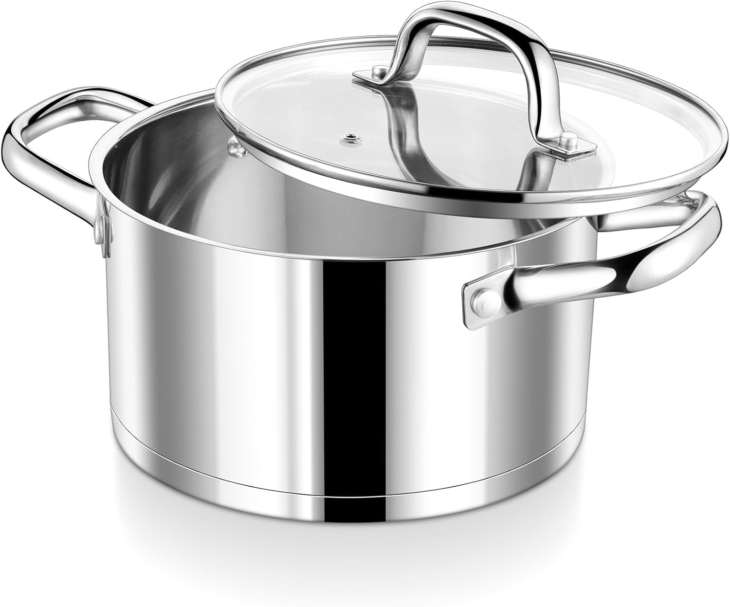 12 Quart Stainless Steel Stockpot with Glass Lid, Extra Large Stock ...