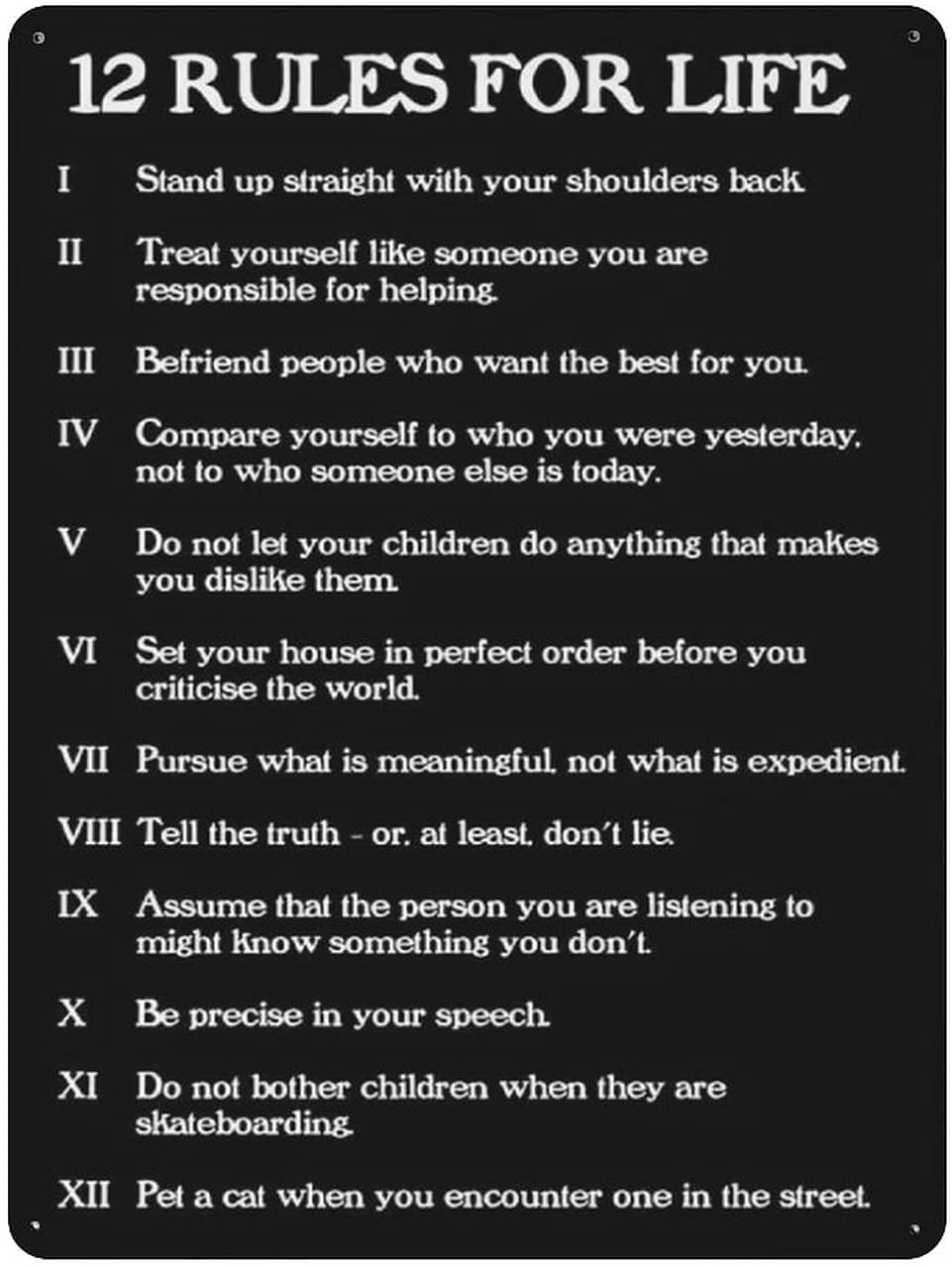 12 Rules for Life Stand Up Straight with Your Shoulders Back Metal Tin ...