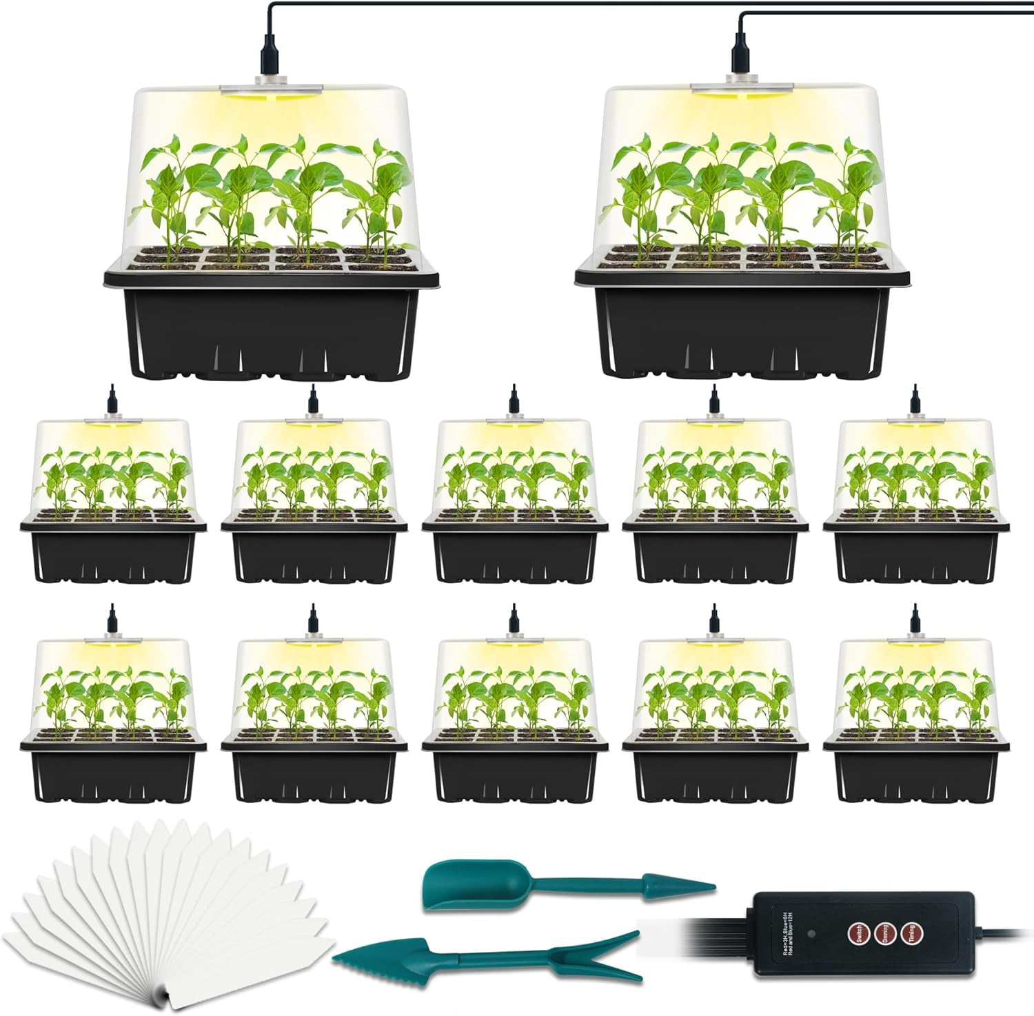 12-Set Seed Starter Tray with Grow Light, Seed Starting Trays Kits with ...