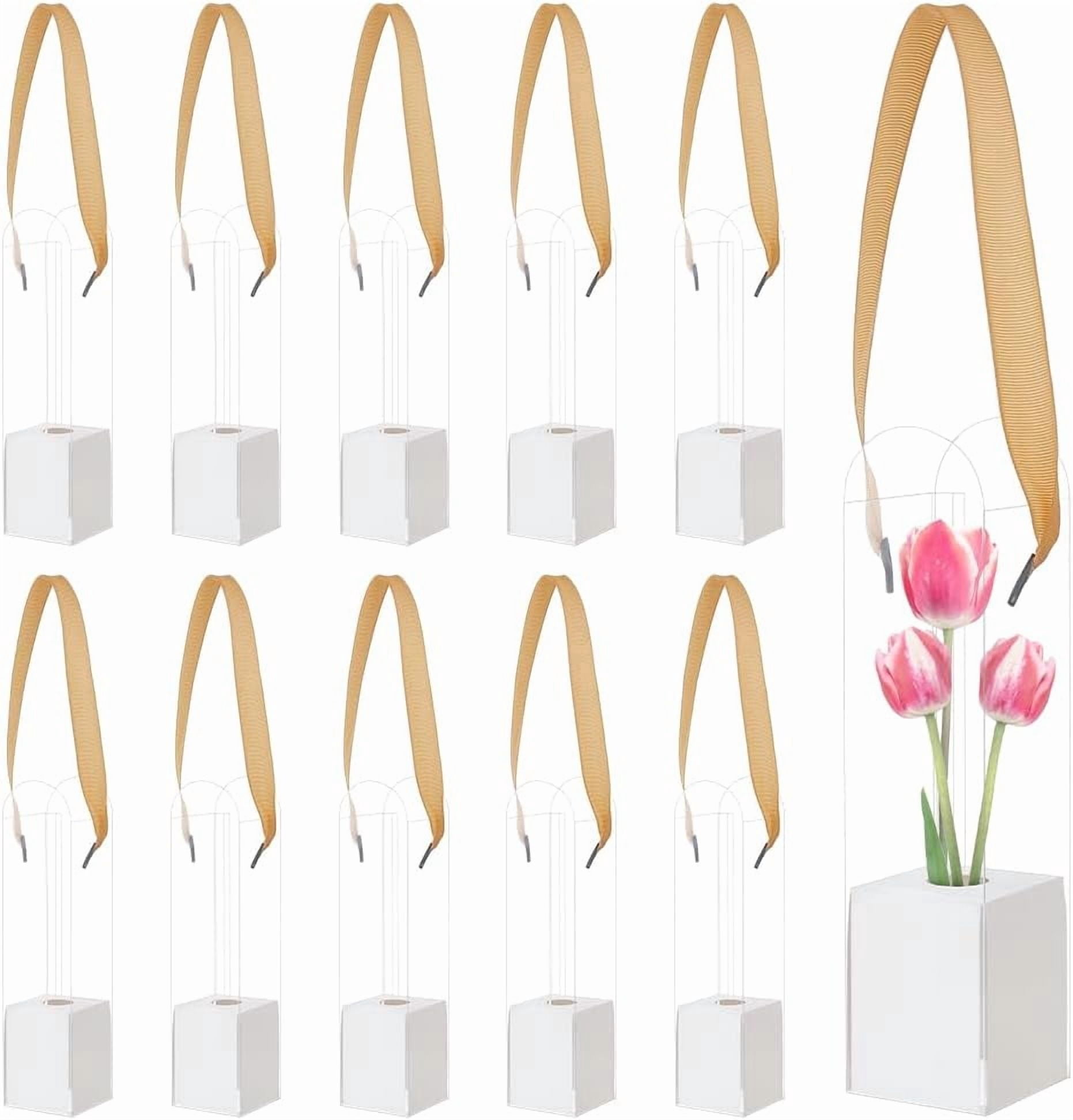 12 Sets Clear Plastic Paper Flower Storage Boxes with Polyester Ribbon ...