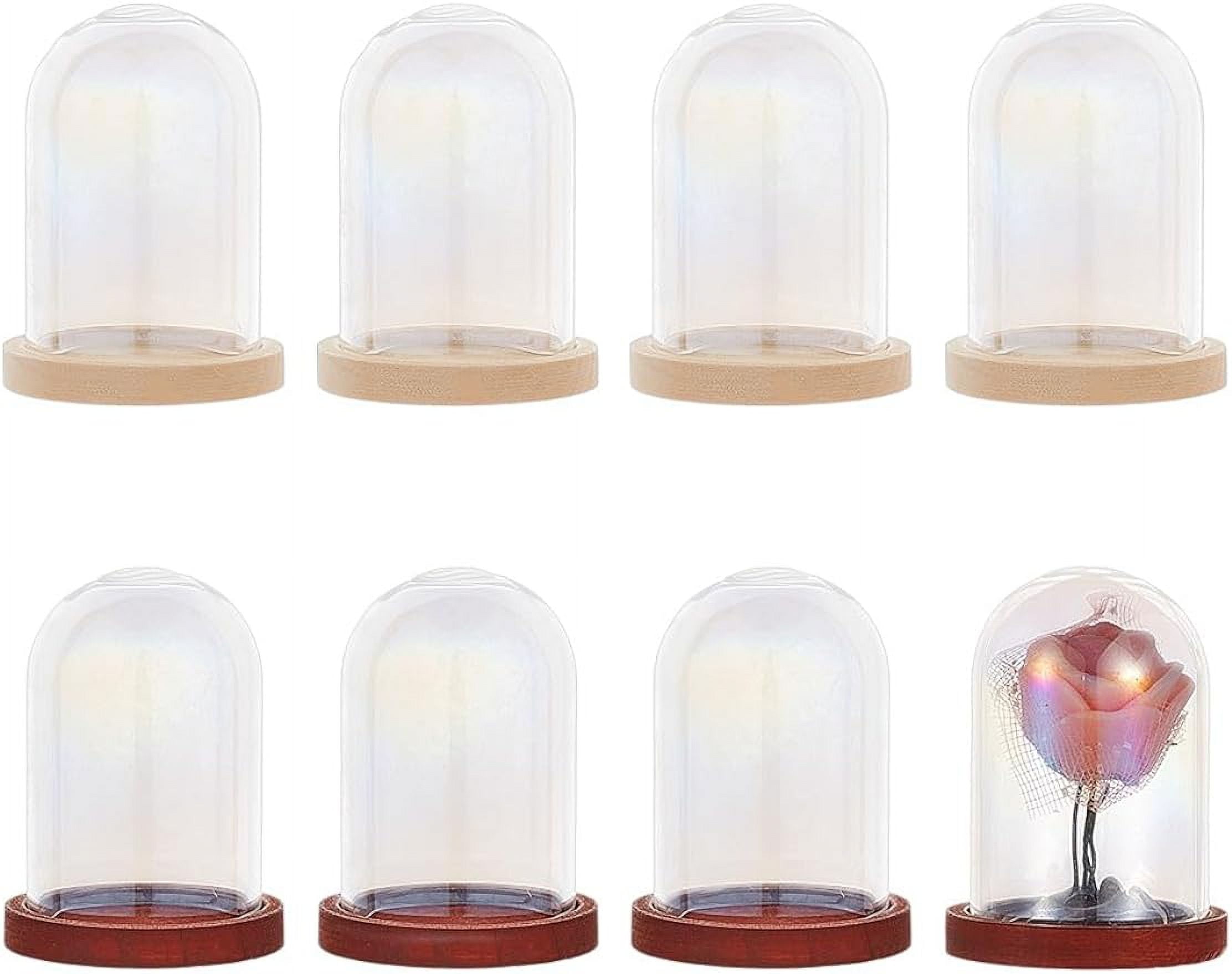 12 Sets Mini Glass Dome Cloches Cloche Bell Jar Terrarium Glass Dome ...