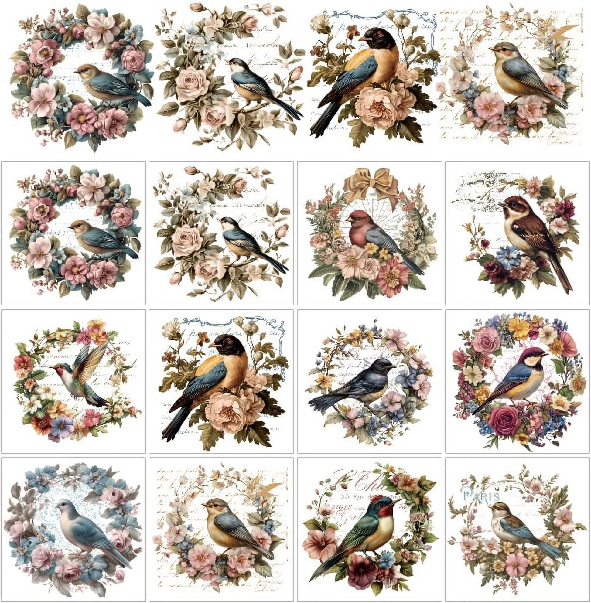 12 Sheets Rub on Transfers 12 Style Bird Wreath with Hand Write Texture ...