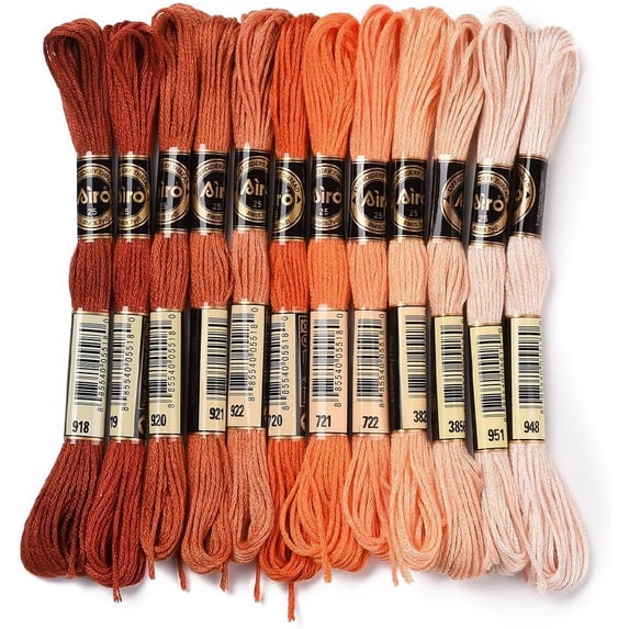 12 Skeins 12 Colors 6-Ply Polyester Embroidery Floss Stitch Threads ...
