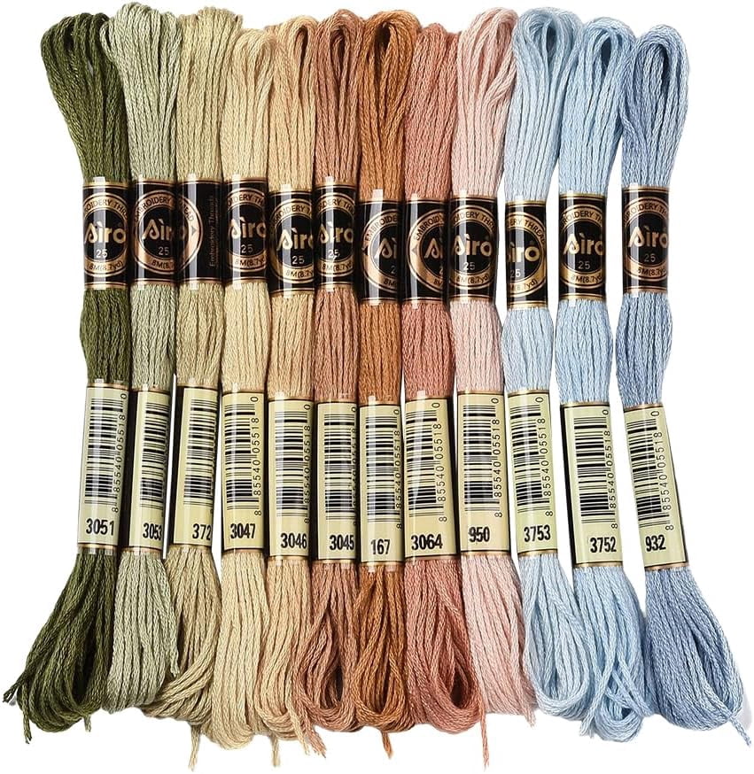 12 Skeins Embroidery Floss Thread Variegated Cross Stitch Floss for ...