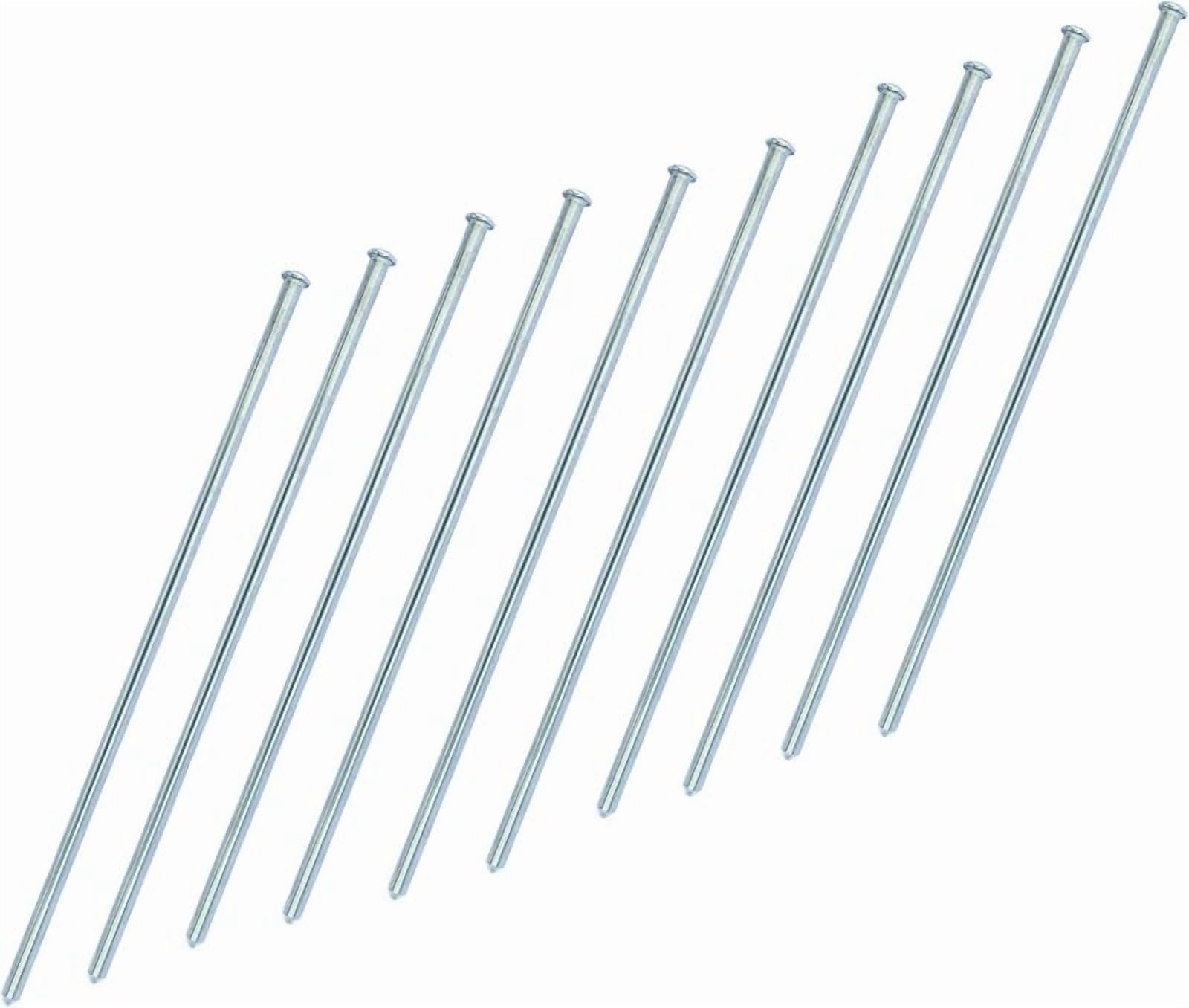 12" Stainless Steel Landscape Spikes - Heavy Duty Metal Pins for ...