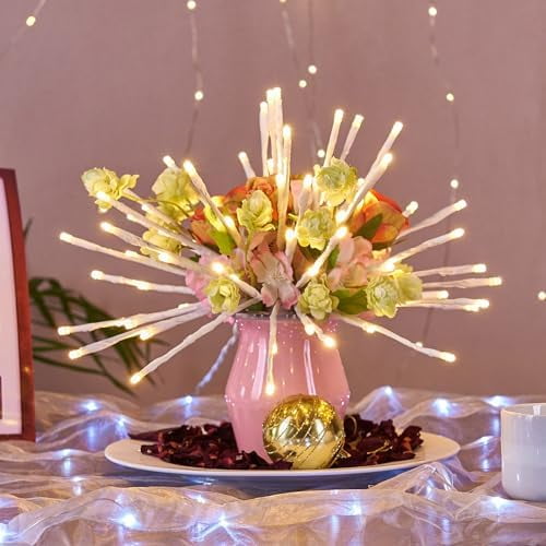 12" Starburst Light Lighted Ball 80 LED Firework Lights Warm White ...