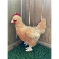 12" Stuffed Realistic Chicken Plush Toy - Walmart.com
