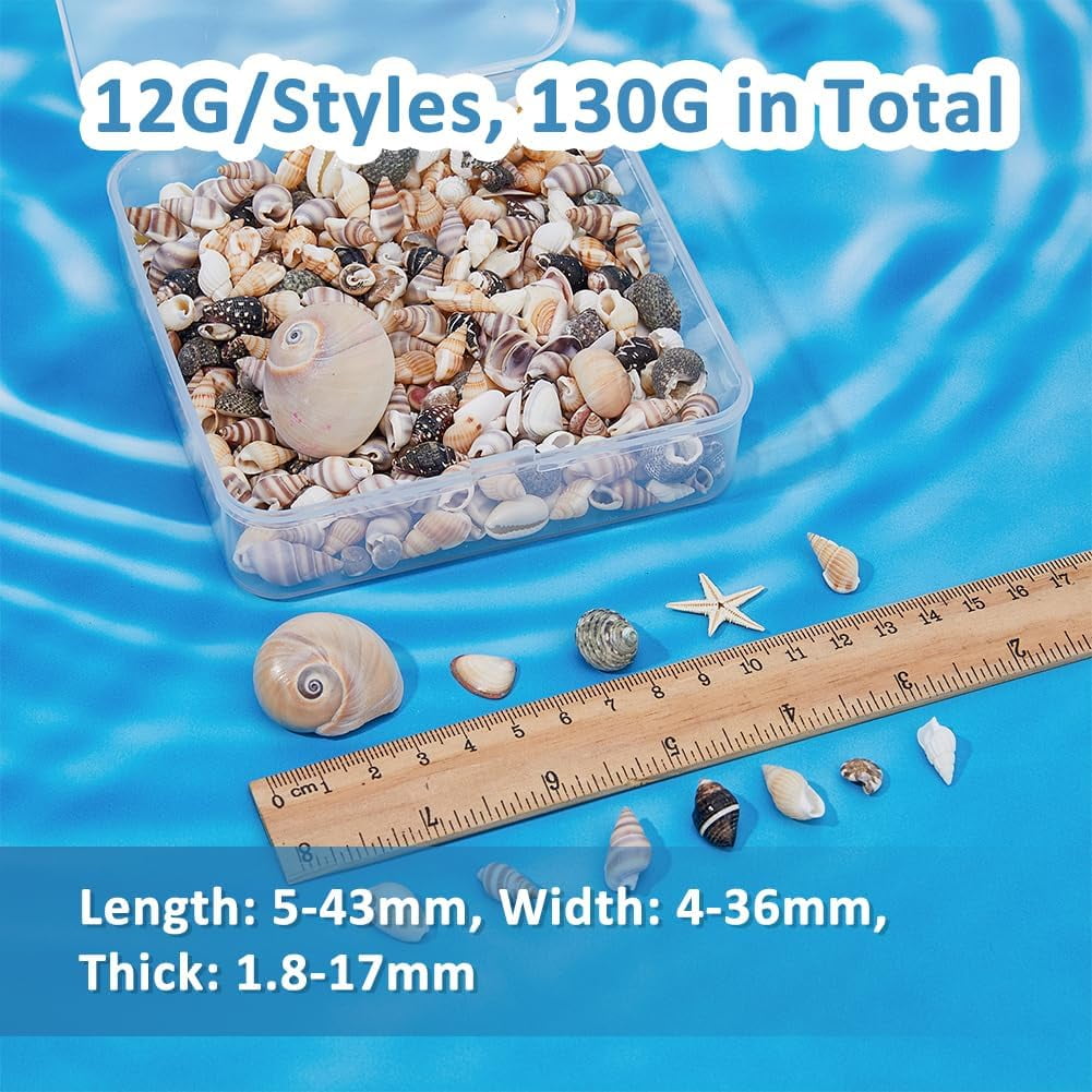 12 Styles Tiny Shells Decorations - 130g Natural Ocean Spiral Sea ...