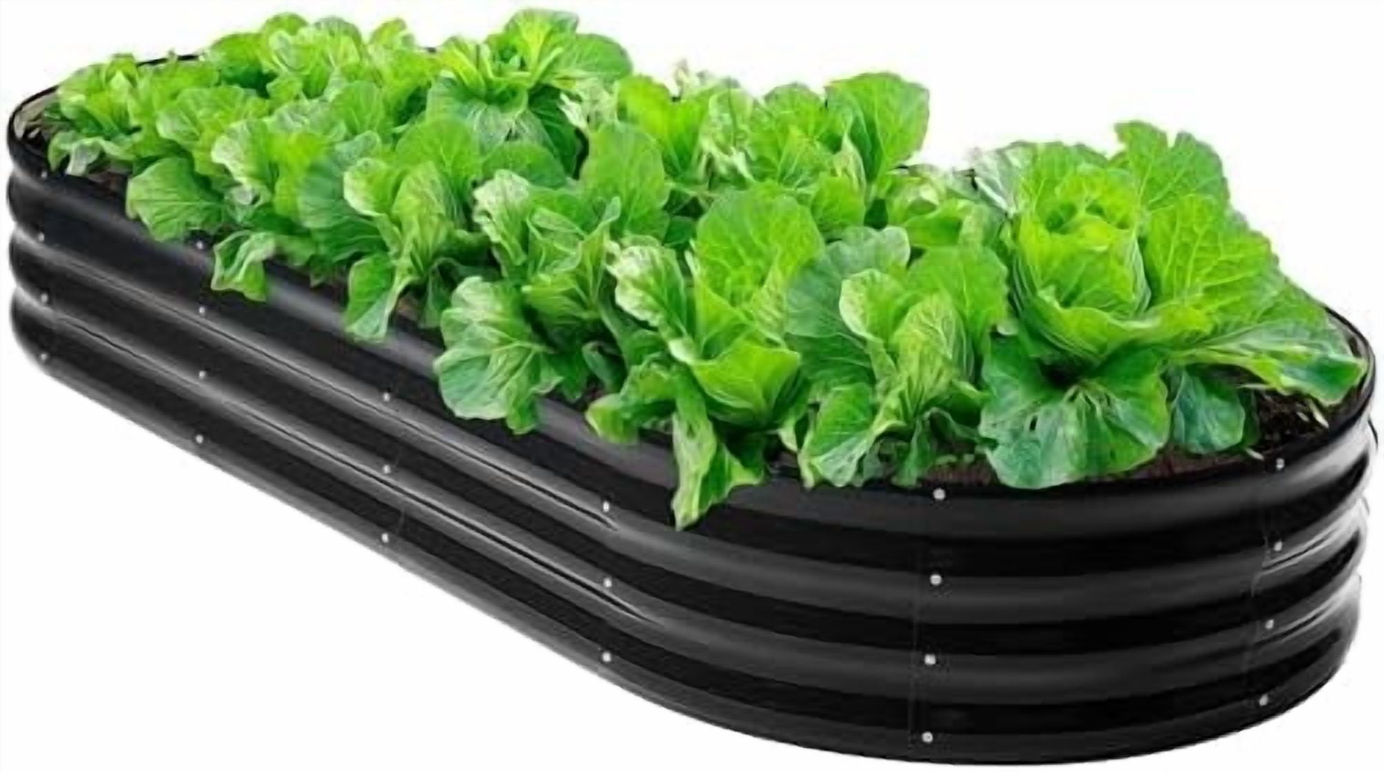 12" Tall Black Oval Metal Raised Garden Bed Outdoor - 7x3ft Galvanized ...