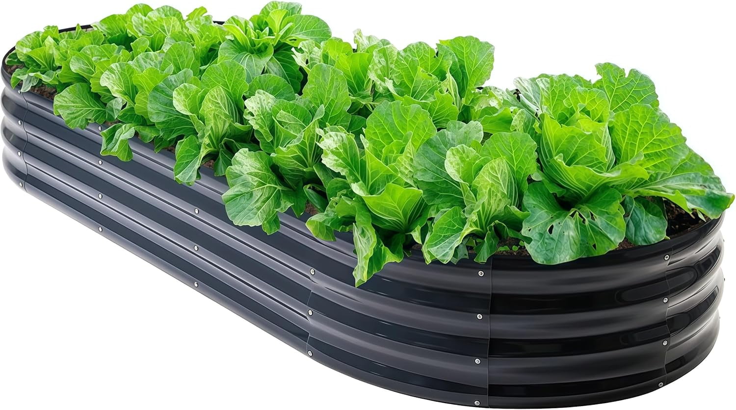 12" Tall Oval Galvanized Steel Raised Garden Bed - 7x3ft Modular Metal ...