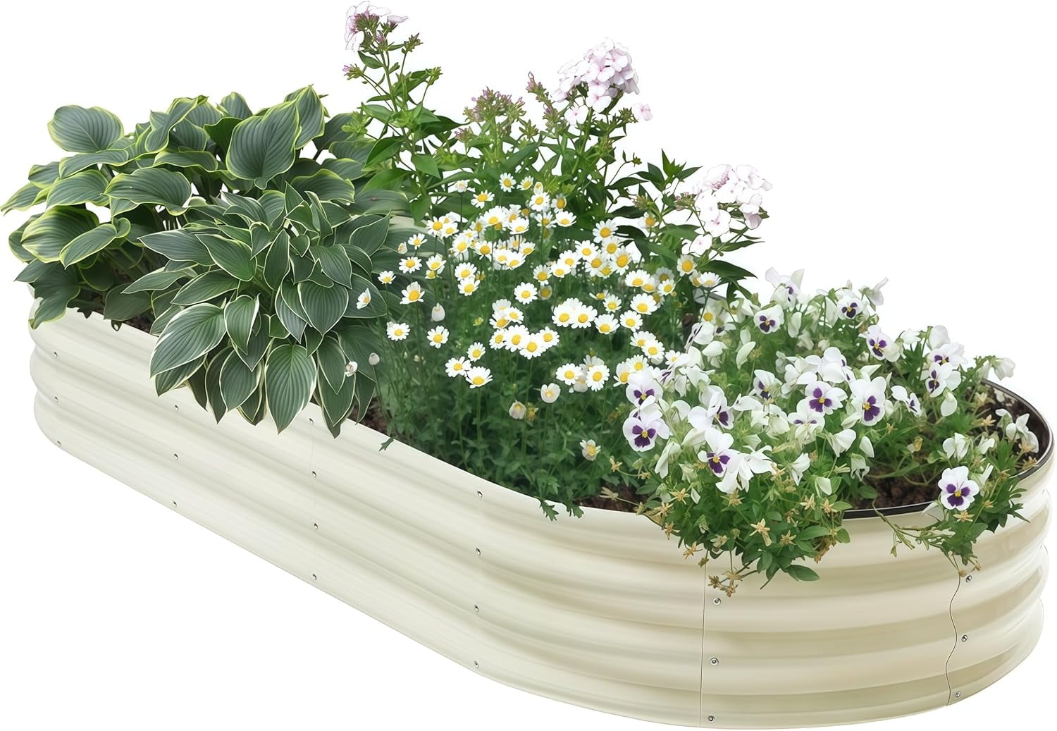 12" Tall White Oval Galvanized Steel Raised Garden Bed - 7x3ft Modular ...