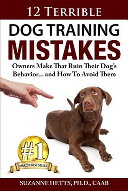 12 Terrible Dog Training Mistakes Owners Make That Ruin Their Dog's ...