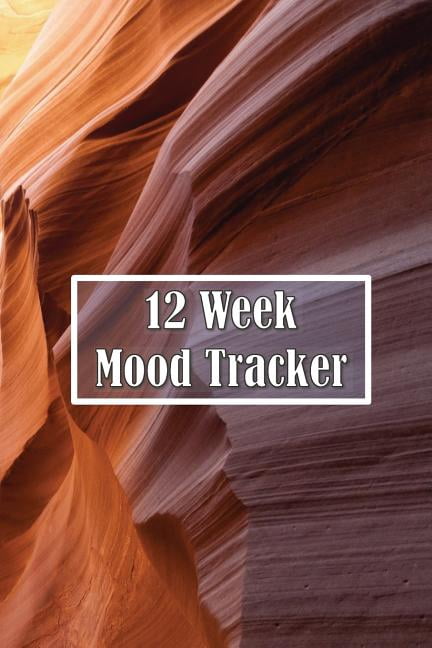 12 Week Mood Tracker: One Page Per Day Paperback - Walmart.com