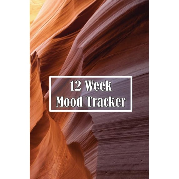 12 Week Mood Tracker: One Page Per Day Paperback - Walmart.com