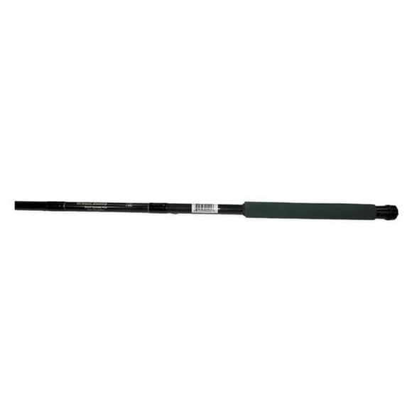 Cane Fishing Pole