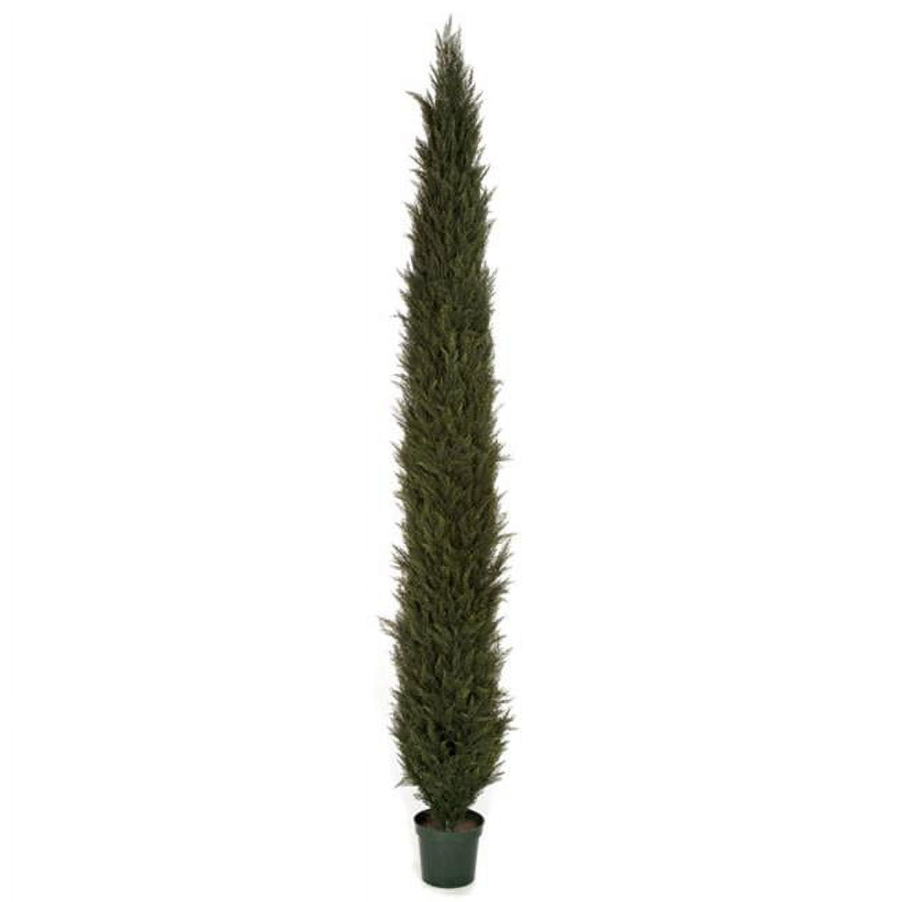 12 ft. Pond Cypress Tree - Tutone Green - Walmart.com