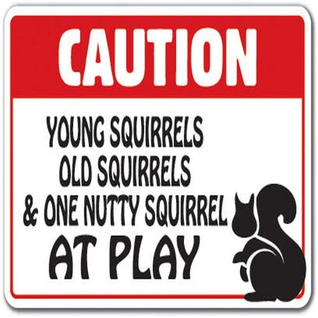 12 in. Caution Young Squirrels Old Squirrels At Play Sign - Animalfarm ...