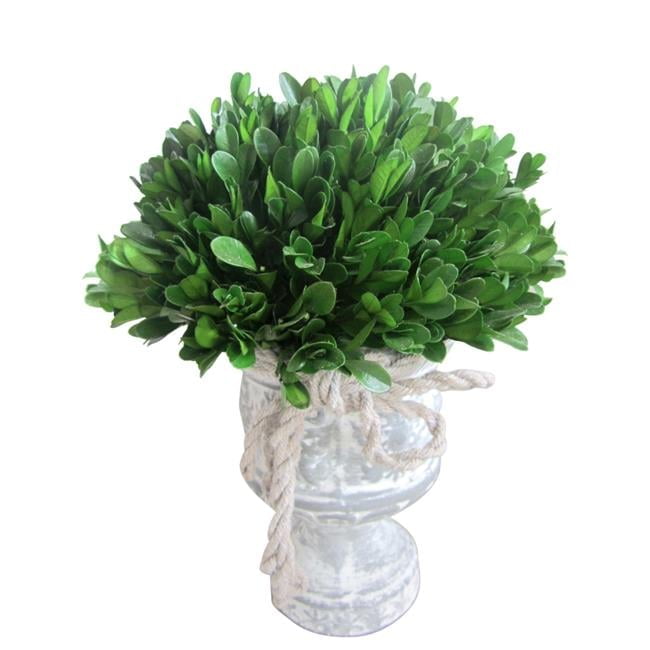 12 in. Holly & Boxwood Topiary Tree - Walmart.com