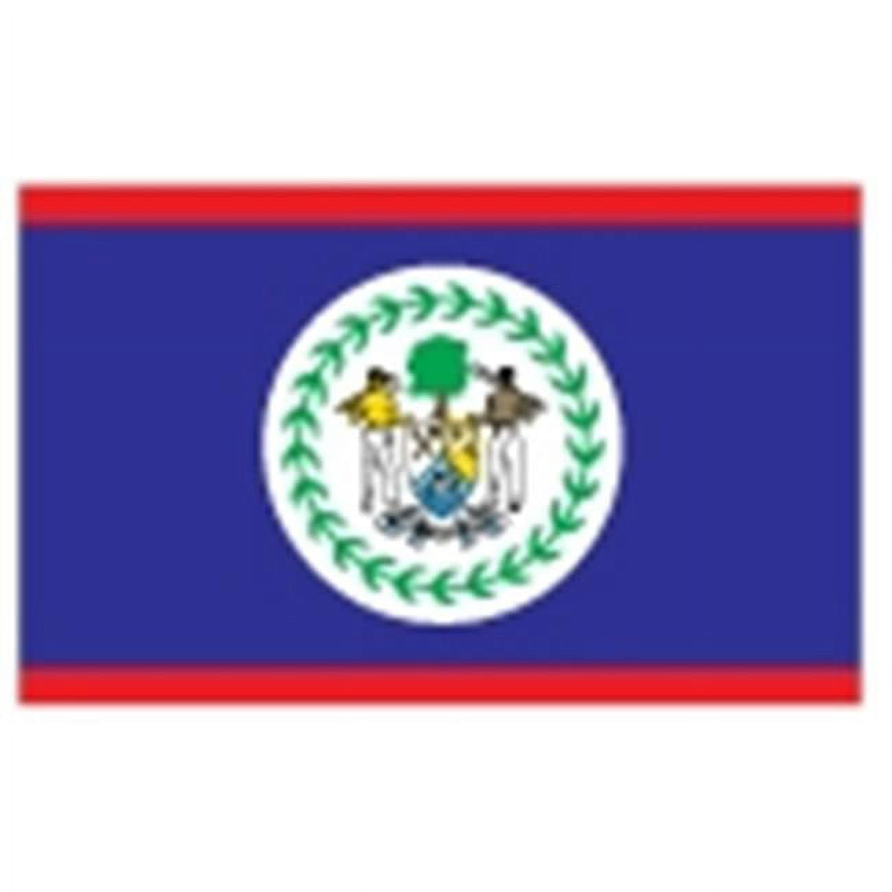 12 in. X 18 in. Nyl-Glo Belize Flag - Walmart.com