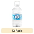(12 pack) Great Value Purified Drinking Water, 1 Gallon - Walmart.com