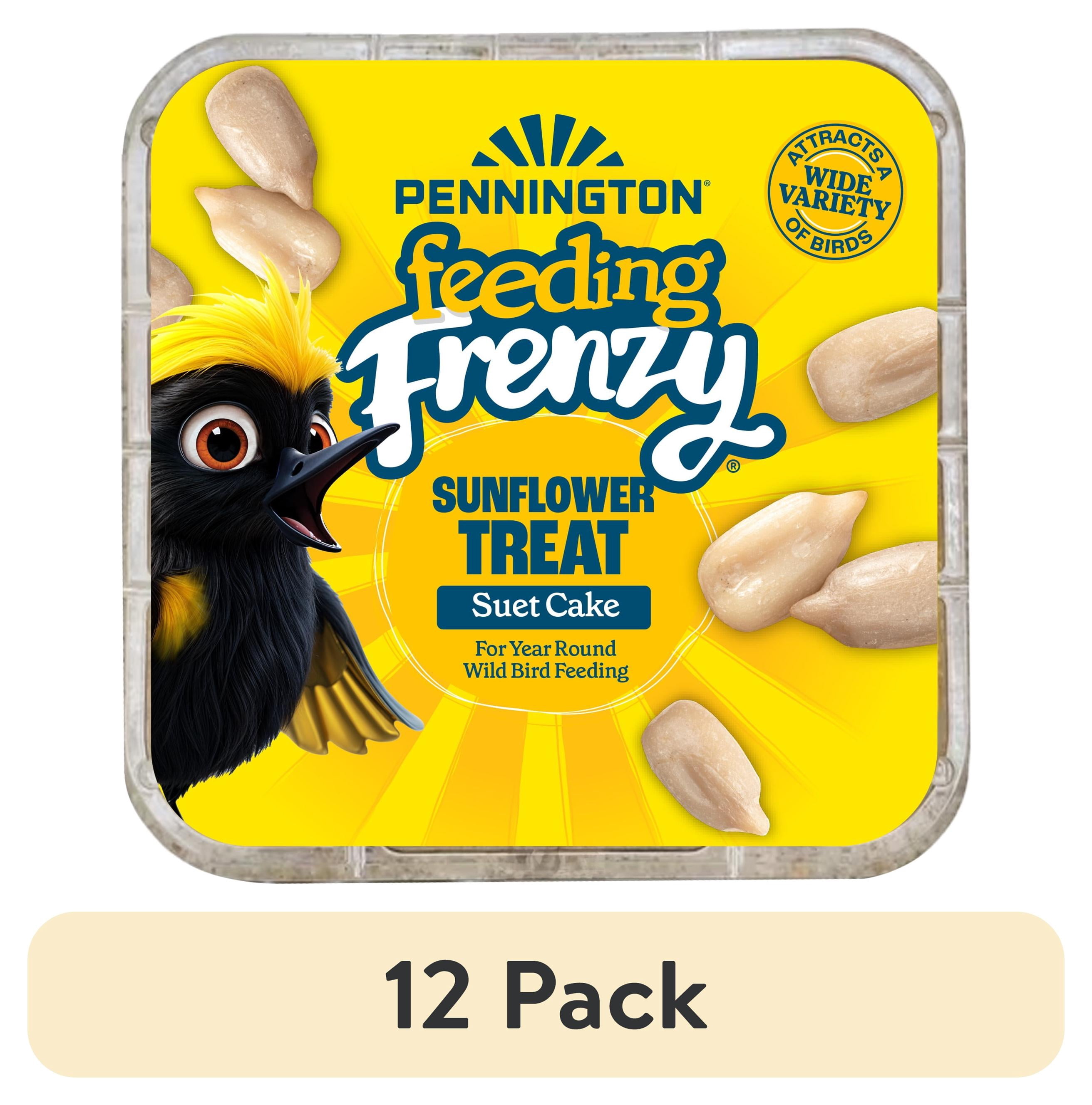 (12 pack) Pennington Feeding Frenzy Sunflower Wild Bird Fresh Suet Cake ...