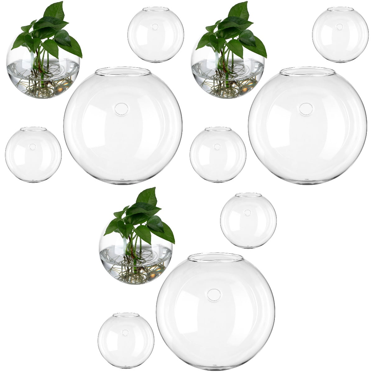 12 pcs Wall Hanging Planters Round Glass Planters Glass Flower Vases ...