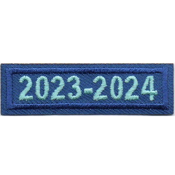 12 pieces 2" Custom Activity Scouts Applique Fun Patches - 2023-2024 ...