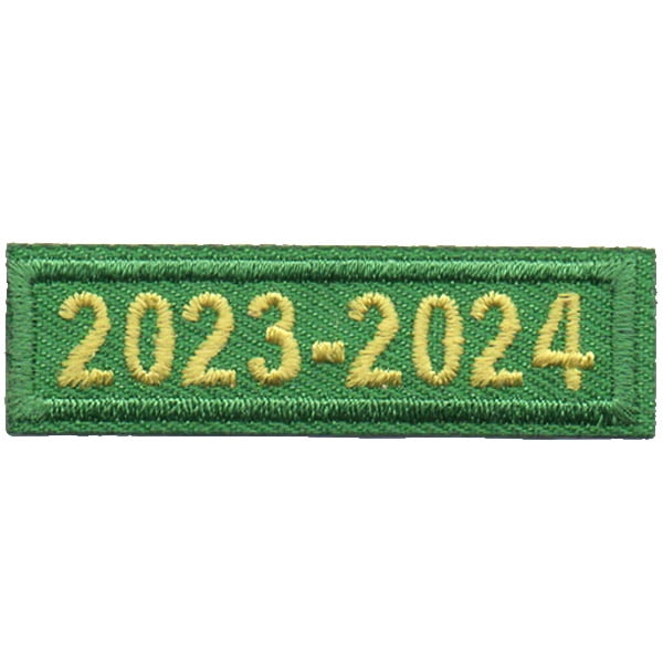 12 pieces 2" Custom Activity Scouts Applique Fun Patches - 2023-2024 ...