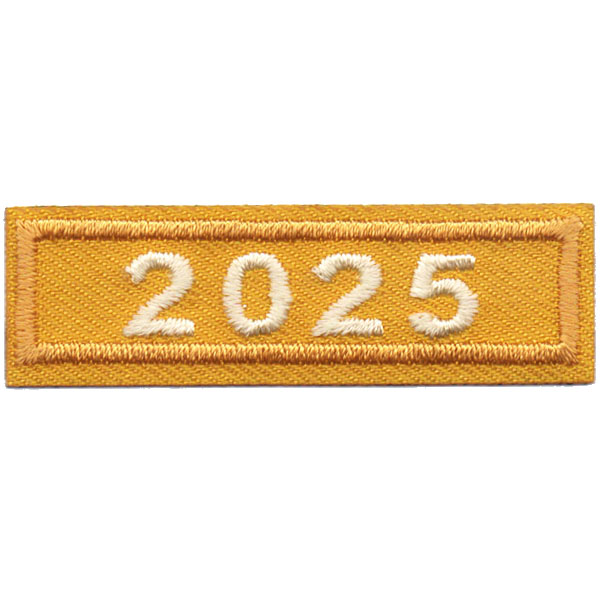 12 pieces 2" Custom Activity Scouts Applique Fun Patches - 2025 Gold ...