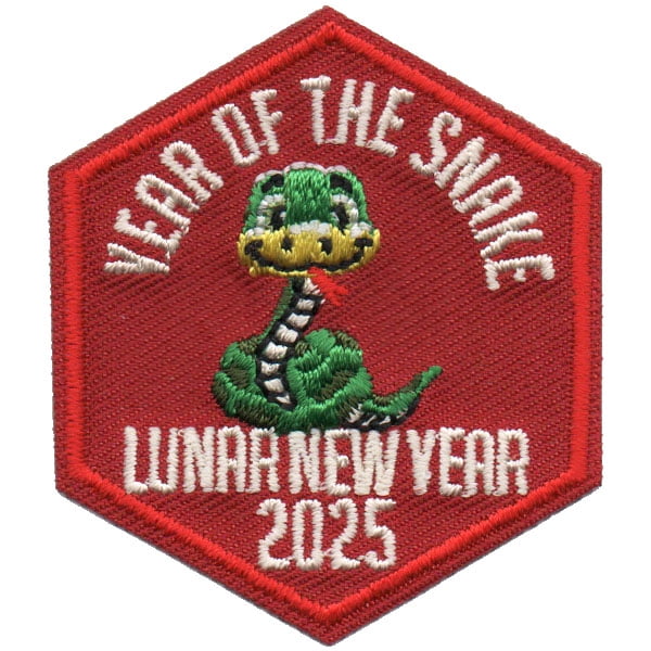 12 pieces 2" Custom Activity Scouts Applique Fun Patches - 2025 Year of ...