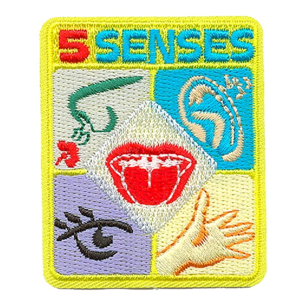 12 pieces 2" Custom Activity Scouts Applique Fun Patches - 5 Senses ...