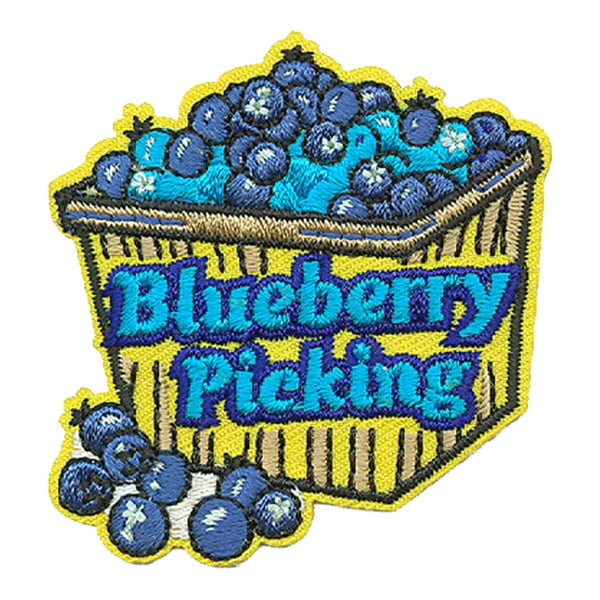 12 pieces 2" Custom Activity Scouts Applique Fun Patches - Blueberry ...