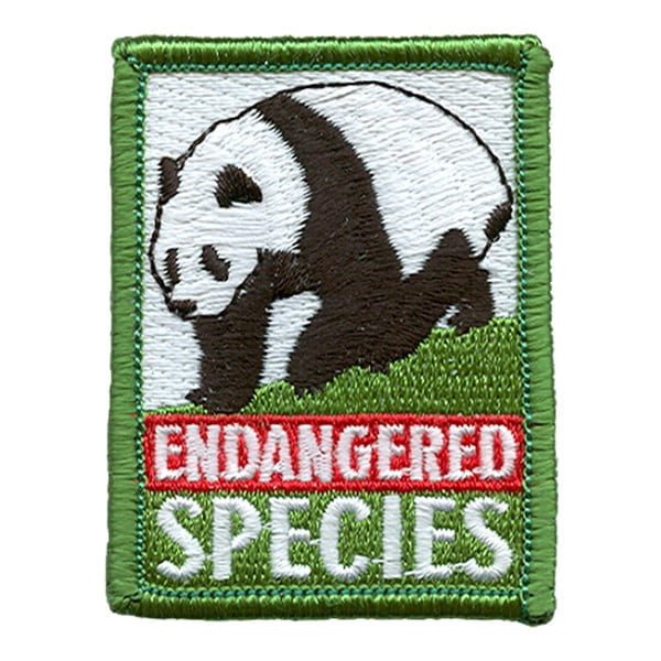 12 pieces 2" Custom Activity Scouts Applique Fun Patches - Endangered ...