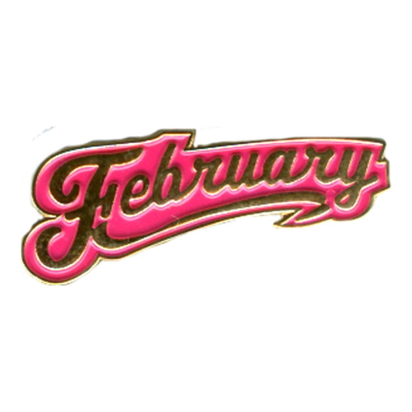 12 pieces 2" Custom Activity Scouts Applique Fun Patches - February Pin ...