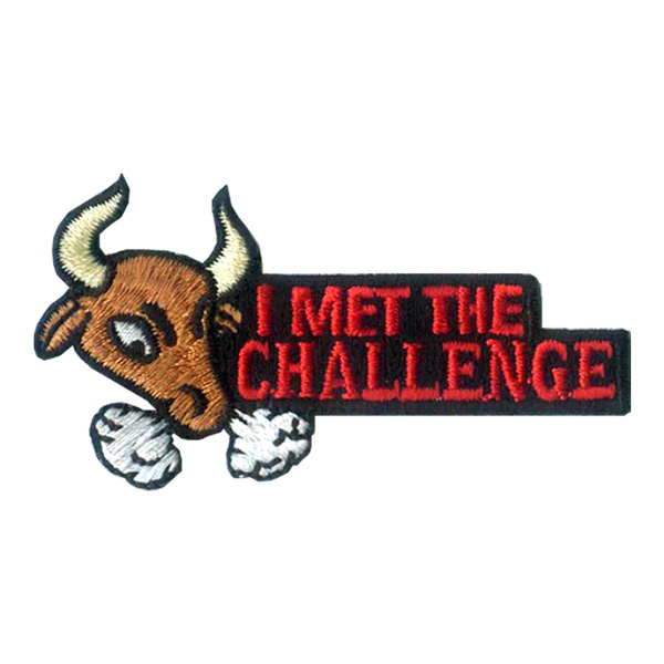 12 pieces 2" Custom Activity Scouts Applique Fun Patches - I Met The ...