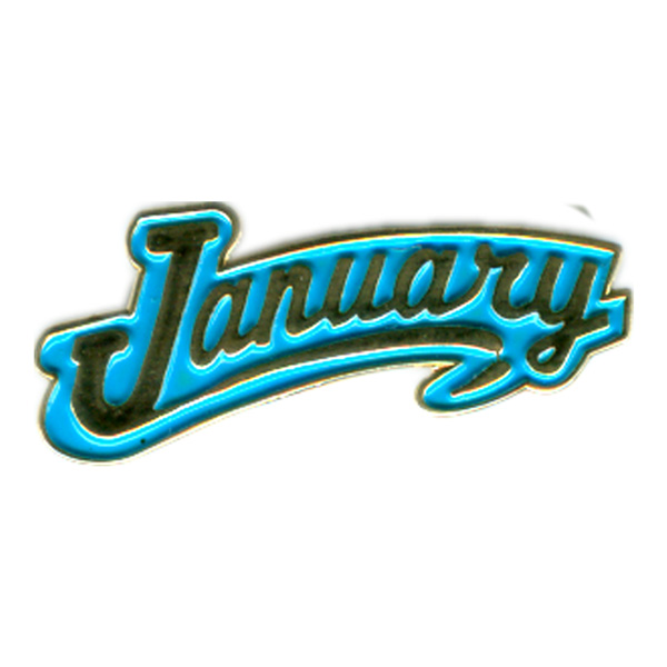 12 pieces 2" Custom Activity Scouts Applique Fun Patches - January Pin ...