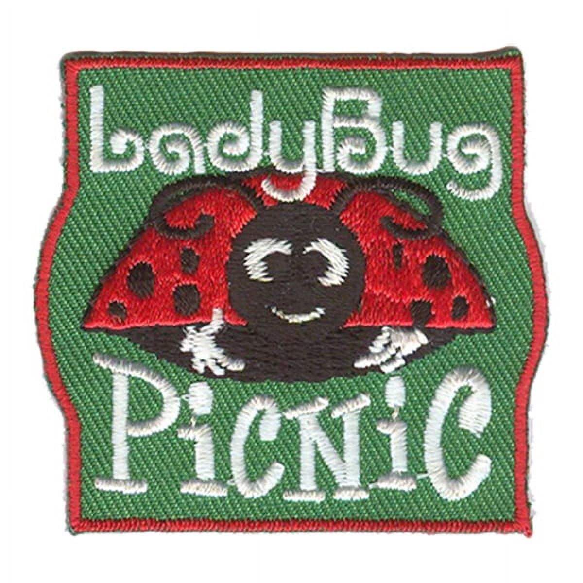 12 pieces 2" Custom Activity Scouts Applique Fun Patches - Lady Bug ...