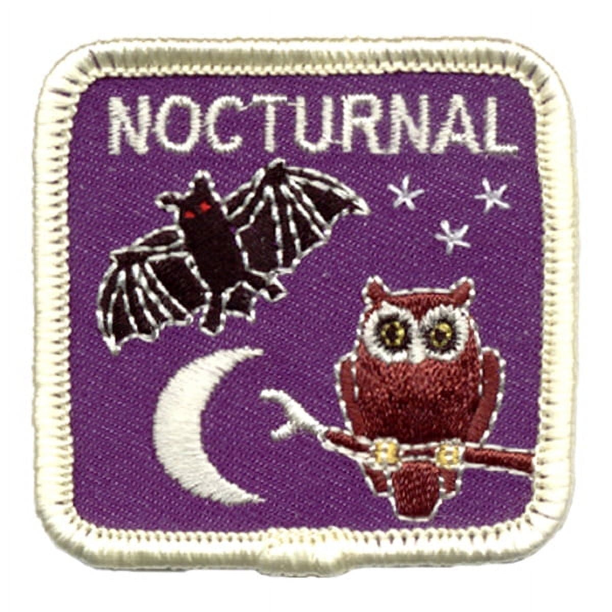 12 pieces 2" Custom Activity Scouts Applique Fun Patches - Nocturnal Patch - Walmart.com