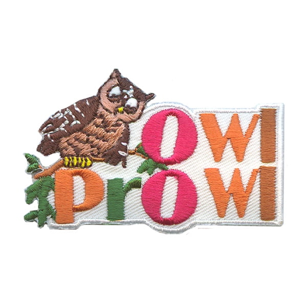 12 pieces 2" Custom Activity Scouts Applique Fun Patches - Owl Prowl ...