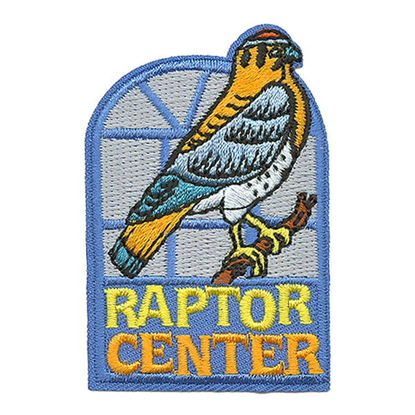 12 pieces 2" Custom Activity Scouts Applique Fun Patches - Raptor ...