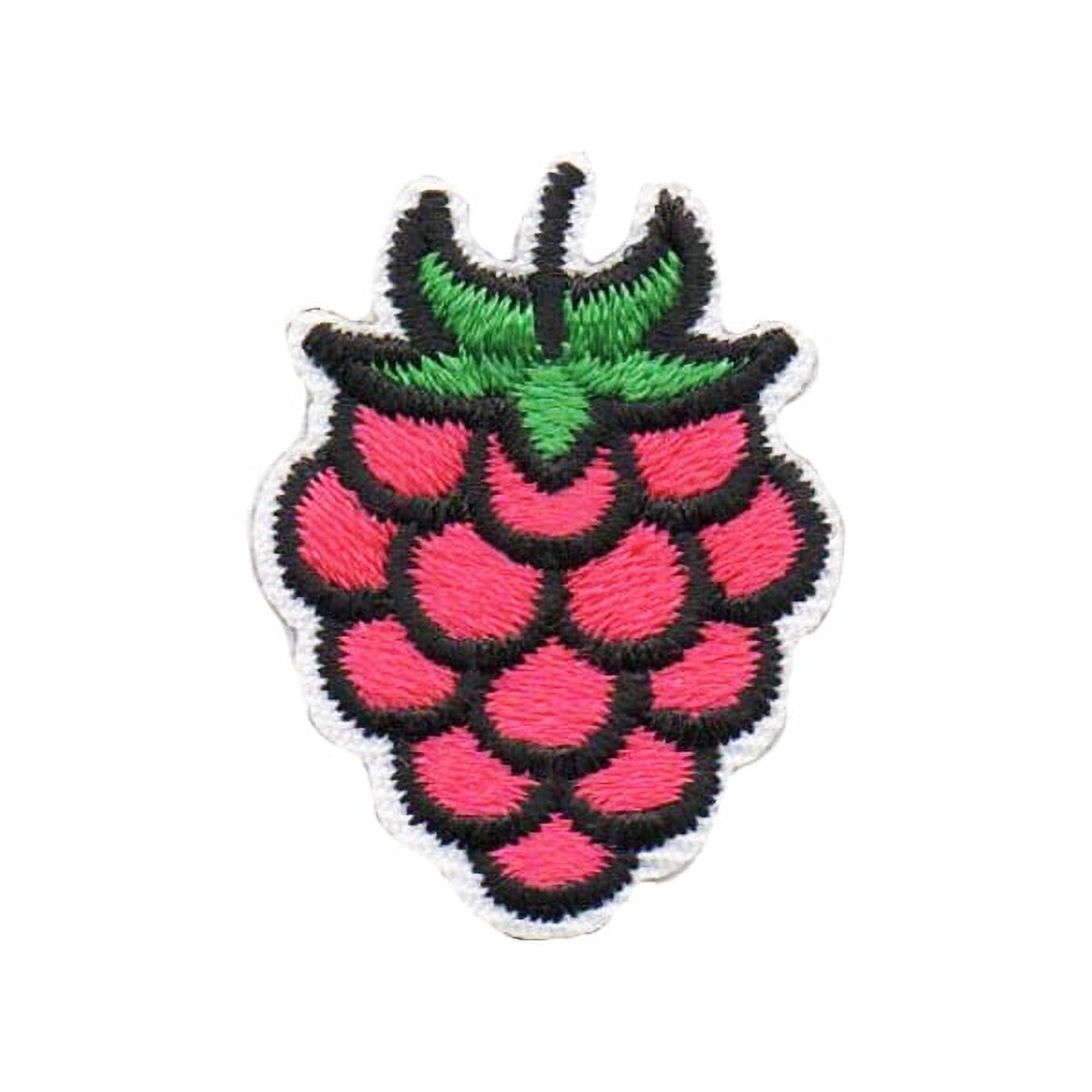 12 pieces 2" Custom Activity Scouts Applique Fun Patches - Raspberry ...